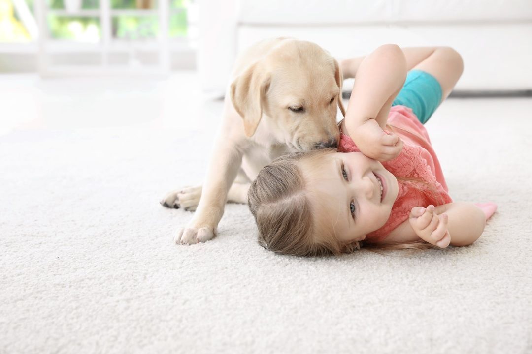 Fantastic Carpets | Carpet Cleaning & Flooring Experts in Texas - San ...